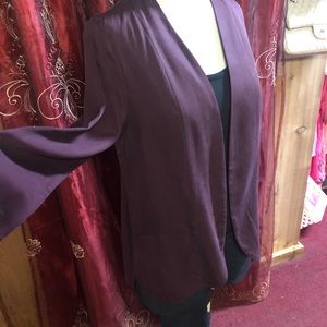 Harlowe & Graham | Jackets & Coats | Plum Colored Blazer | Poshmark